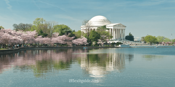 Cherry Blossoms and Beyond: Washington, DC Delights Visitors throughout ...