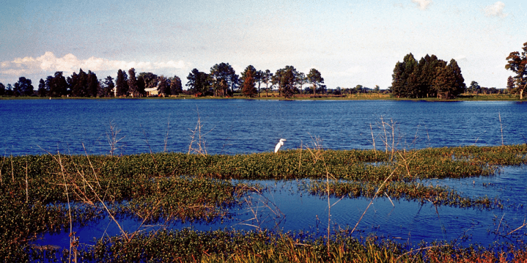 Hardeeville, South Carolina City Guide | Where to Stay, Eat and Play